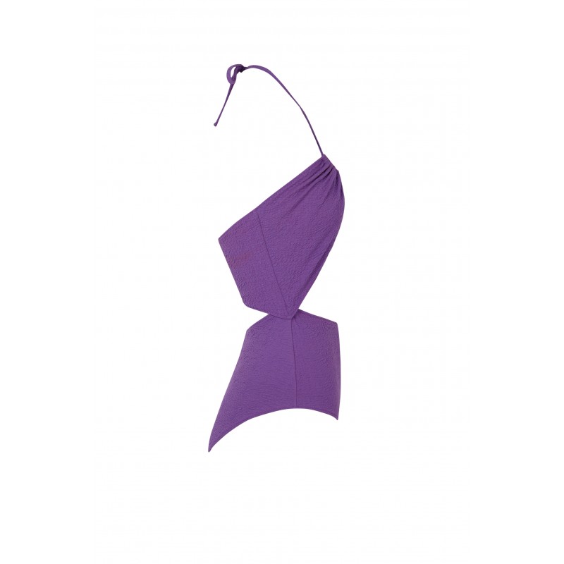 Violet Swimsuit | Robin Collection